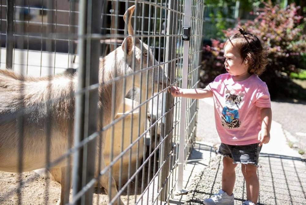 27 Best & Fun Things to Do in Merced (CA) | Immigly